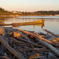 Livingston Bay Community Association – Living in Harmony with Nature